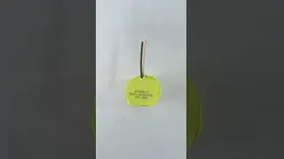 RM8 5+0 PD30W High-frequency Transformer