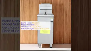 L Commercial Deep Fryer  Burners LPG atural Gas