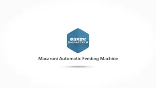 Automatic Bulk Product Feeding System for Macaroni Packaging Lines