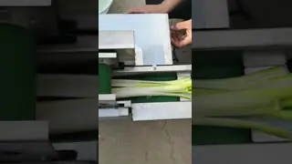 vegetable cutter