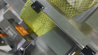 Industrial Potato Mesh Bag Packaging Line with Automatic Weigher Net Bag Filling Clipping and Tag