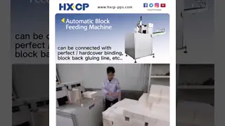 HX100 Automatic Block Feeding Machine