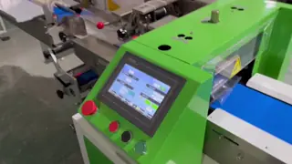 LC-350X 3-Servo Horizontal Pillow Wrapper for Jelly Sticks ,Biscuits, Ice Pops