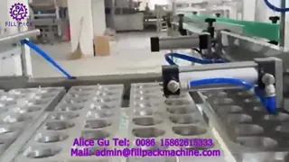 2228 J119 In-Line 8-Station Cup-Type Washing, Filling, and Film Sealing Machine