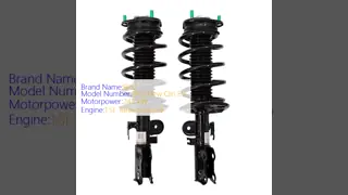 BYD Qin EV Rear Shock Absorber Upgrade
