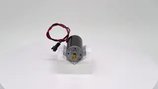 31ZY PMDC Motor High Torque Long Life
