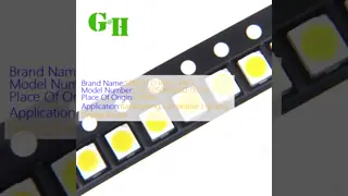 5050 LED Chips 0.24W Bright Long Lasting 1000 Pack
