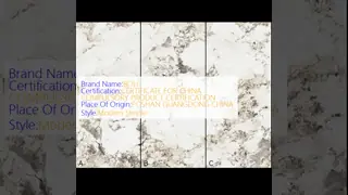 Modern Porcelain Tile Stainproof Frostproof Flooring