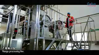 Premium Mango Juice Production Line