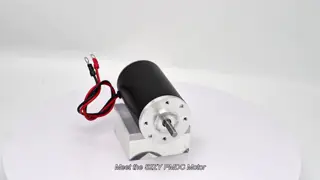 52ZY PMDC MOTOR