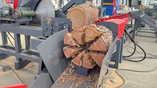 Log Splitter Processor