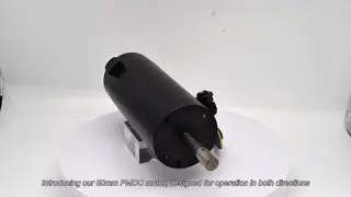 80mm PMDC Motor