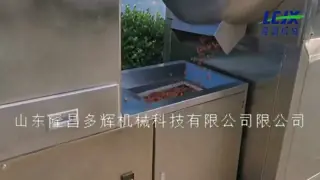 Peanut Roasting Line Automatic Food Grade