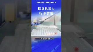 Palletizing Robot  Food placing