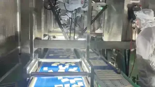 Boost Packaging Speed 50% High Precision Robot