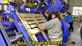 European Automatic Pallet Production Line Showcase