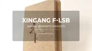 Premium Wood Panels For Doors