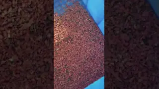 80-Channel Small Multi-Purpose Intelligent Color Sorter For Dried Carrots