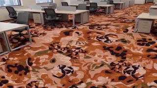 School Library Carpet Tiles Eco Friendly Focus Design