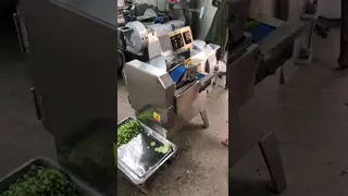 Multi-functional Industrial Vegetable Cutting Machine