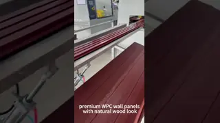 Exterior WPC wall cladding