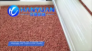 Cereal Energy Bar Production Line