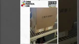 Carton Boxing Machine1