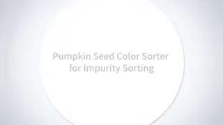 Pumpkin Seed Color Sorter