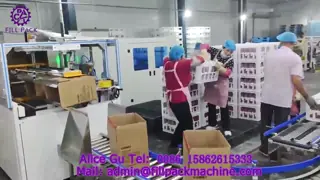 2234 P15 Unboxing, Picking, and Case-Packing Production Line