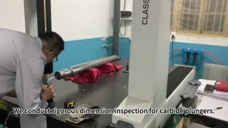 High Precision Carbide Plunger Strict Inspection