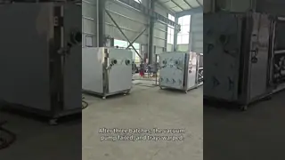 100kg Industrial Freeze Dryer Commercial Food Lyophilizer