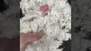 7D×64MM HC Hollow Fiber, Non-Fluorescent BPA Free Baby Grade Fiber for Bedding Filling