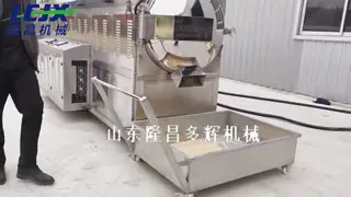 Brown Rice Roasting Production Line