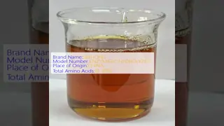 Boost Fermentation Yields Enzymatic Soy Protein