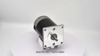 82ZY PMDC Motor