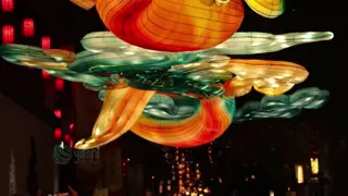 Warm Glowing Festival Lanterns | Night Sky Installation