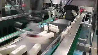 Application of Parallel Robots in the Daily Chemical Industry