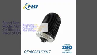 Audi A6 C7 Rear Air Spring Fix