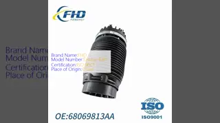 Dodge Ram Air Spring Replacement 68069813AA