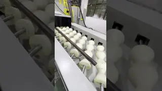 Automatic sandblasting machine for oil drill bits