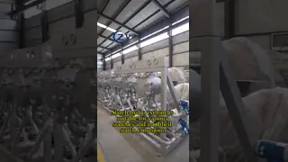 Low-Energy-Consumption Starch Hydrocyclone Separation System Supports Green and Efficient Production