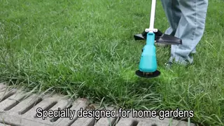 21V Cordless Grass Trimmer Foldable Power