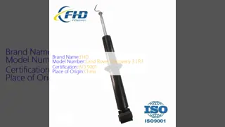 Discovery  Air Shock Strut Replacement