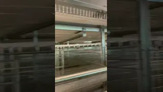 Chicken farming equipment factory
