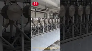 Customized Corn Starch Production Line for Hydrocyclone Equipment Production Line