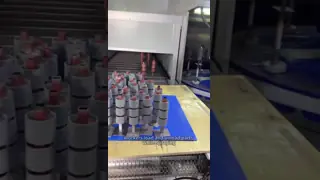 Automatic Spray Paint Machine for Hardware Rings