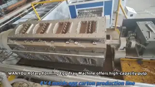 2500pcs/hr Egg Tray Machine Low Investment Startup