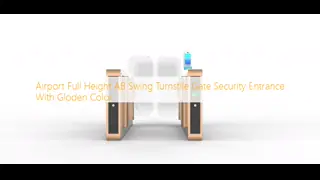 Airport Turnstile Security Entrance Golden Swing Gate
