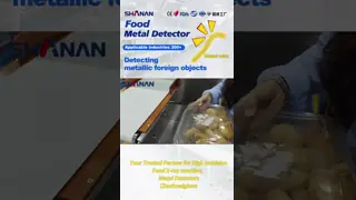 Metal Detector Food Grade Conveyor Belt Security