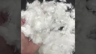 Virgin Down-Like Microfiber 0.7D×12MM, Ultra Soft Fluffy Siliconized Polyester Staple Fiber for Bedd
